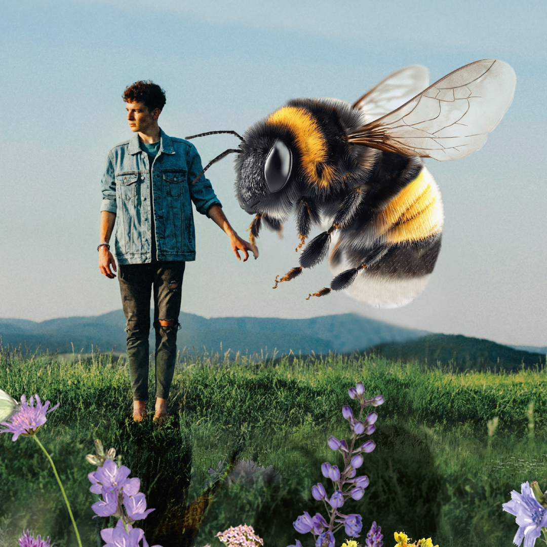 BeeWild - Werde Arten-Schutzpatron